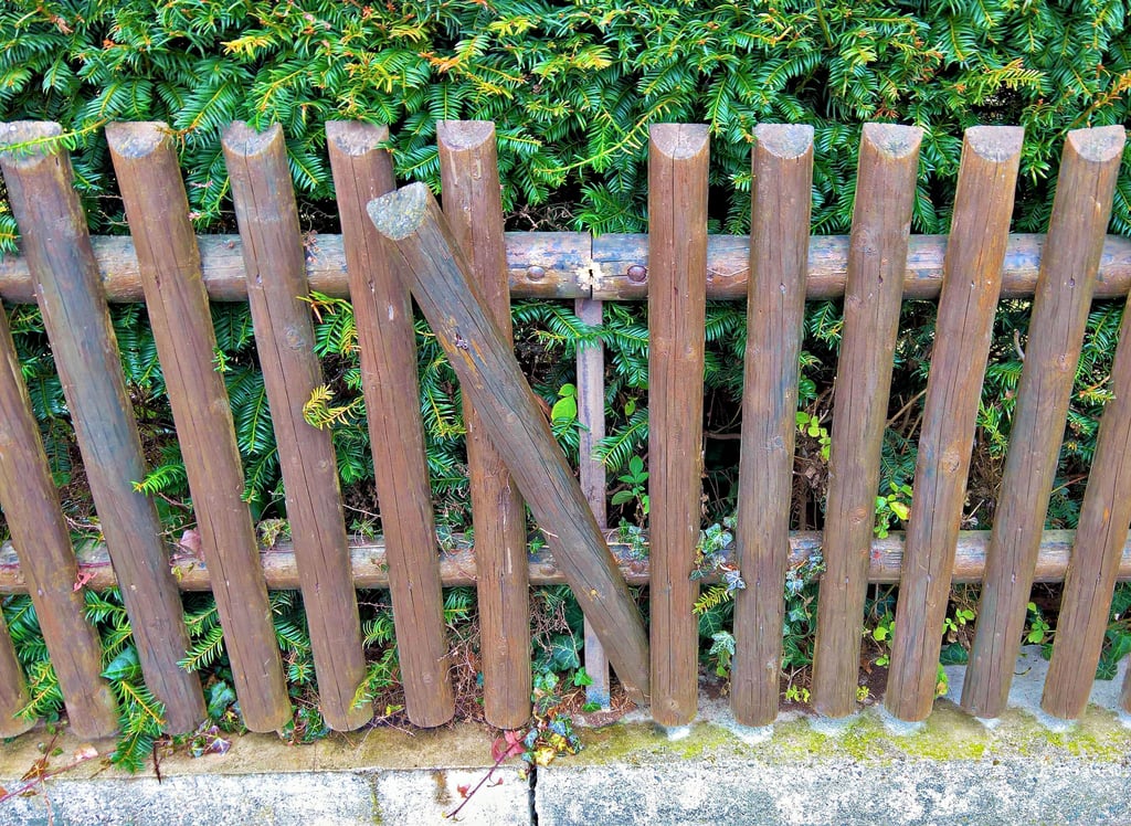 Aufgespießt: Nicht alle Latten am Zaun?