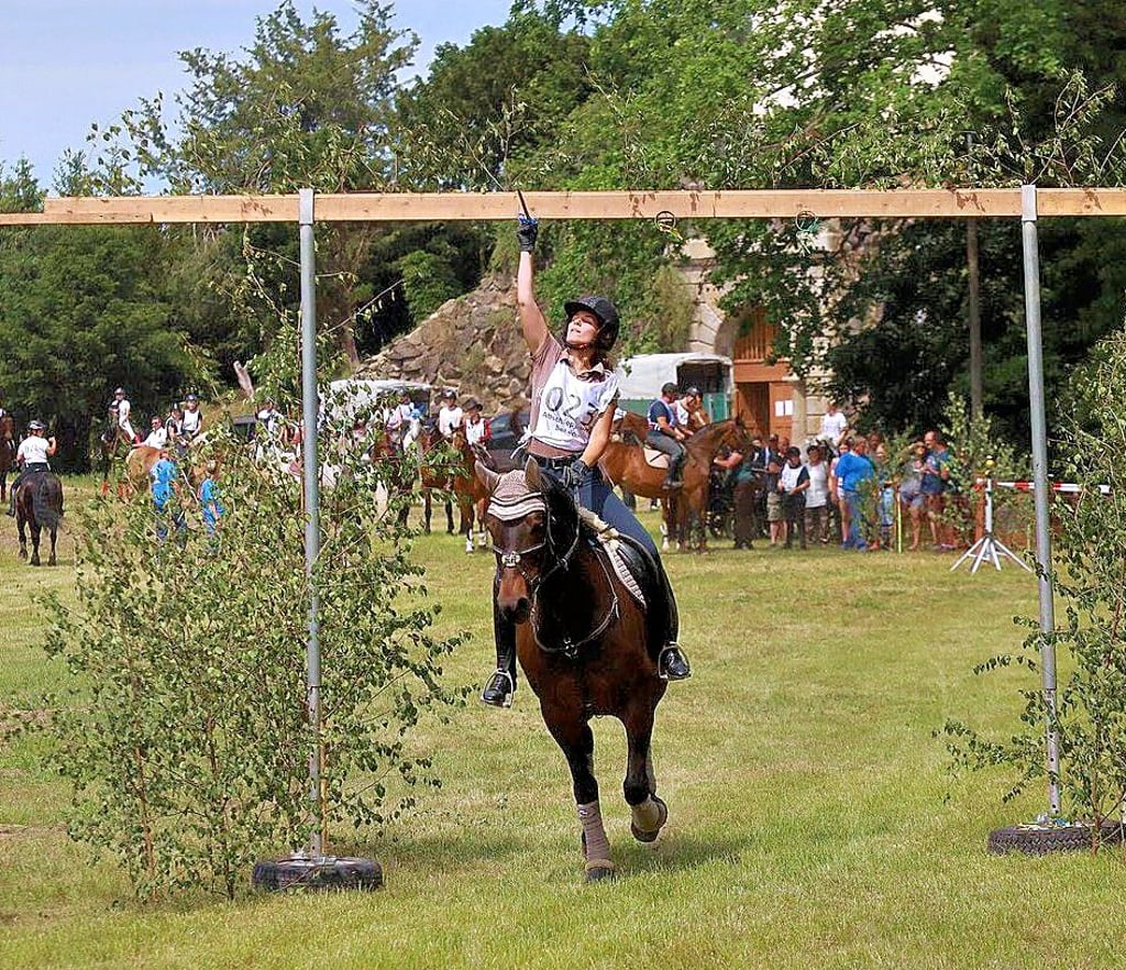 Ausflugstipps für den 27. und 28. Mai: Flugplatzfest, Ringreiten ...