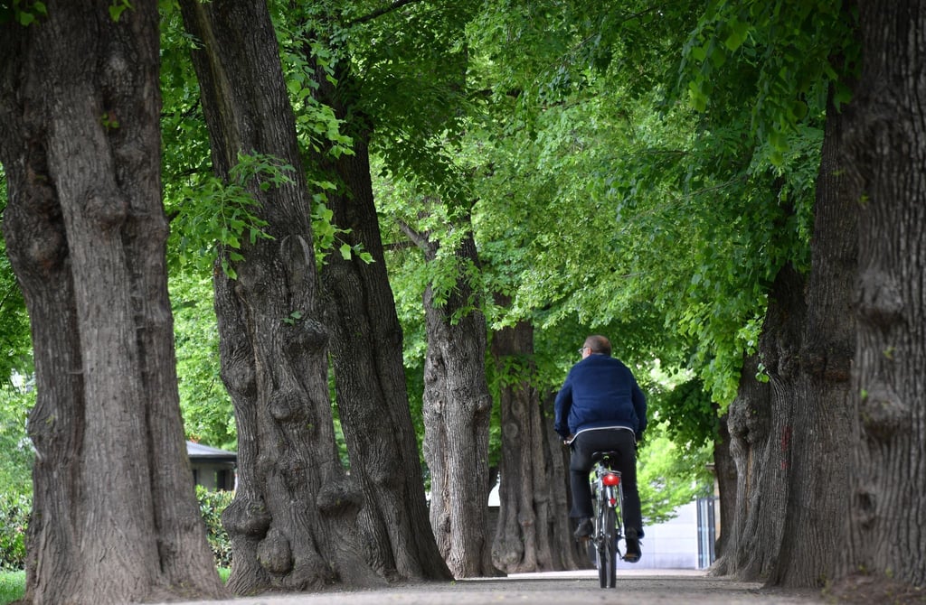 Fahrrad-Klimaschutzkampagne: Stadtradeln-Aktion mit Teilnehmerrekord