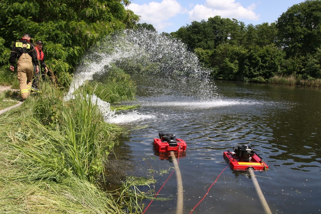 Umwelt: Tote Fische und giftige Goldalge: Polen beruft Krisenstab Umwelt: Tote Fische und giftige Goldalge: Polen beruft Krisenstab