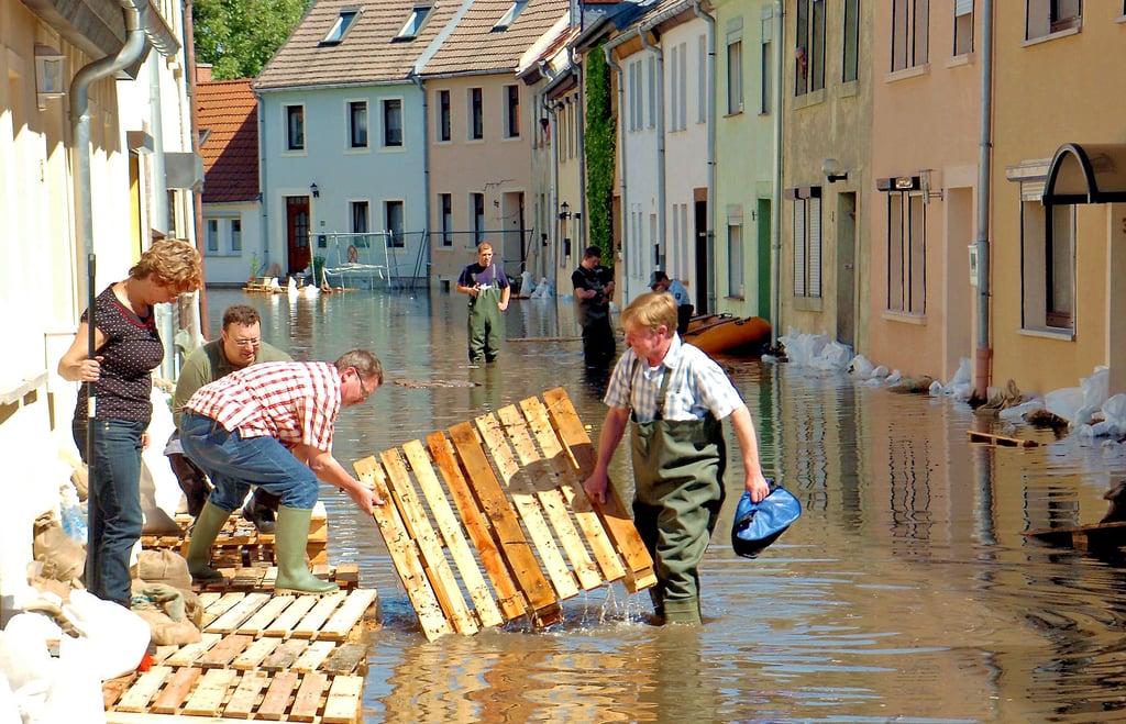 Rückblick auf das Jahrhundert-Hochwasser 2013: Goldfische schwimmen durch die Bernburger Talstadt