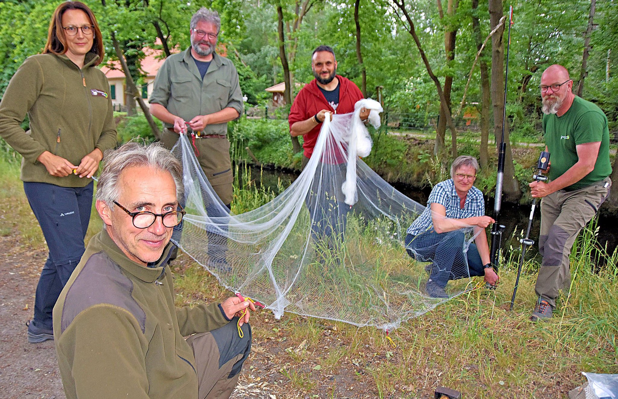 Fledermäuse: Im Drömling: „Kobolde der Nacht“ mit dem Netz fangen
