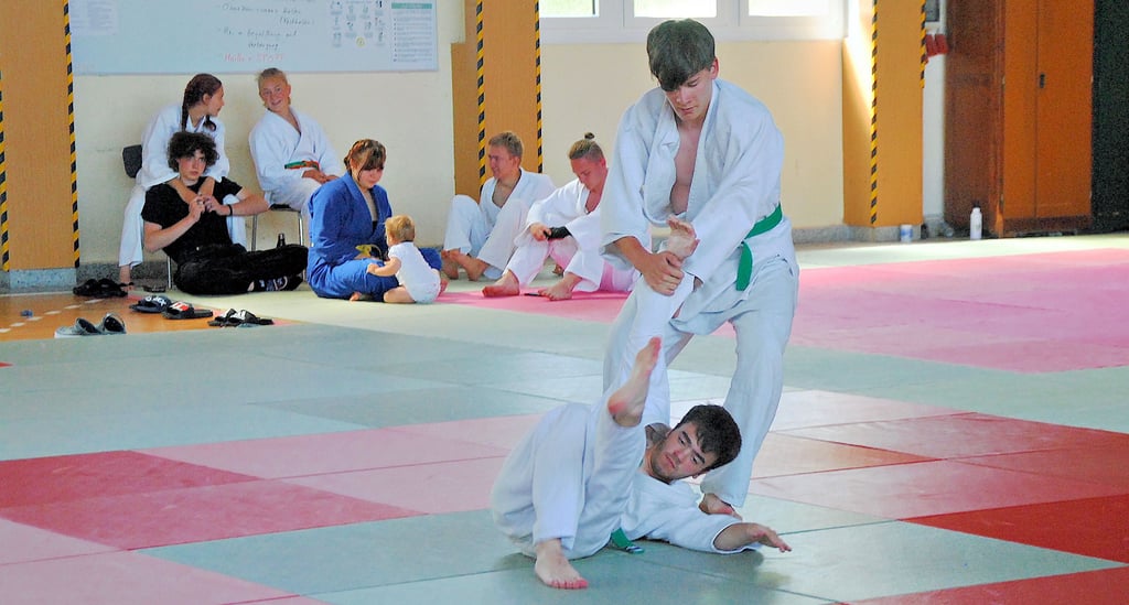 Erfolgreiches Sommerlager: Rohrberger Judo Crocodiles schnappen sich ...