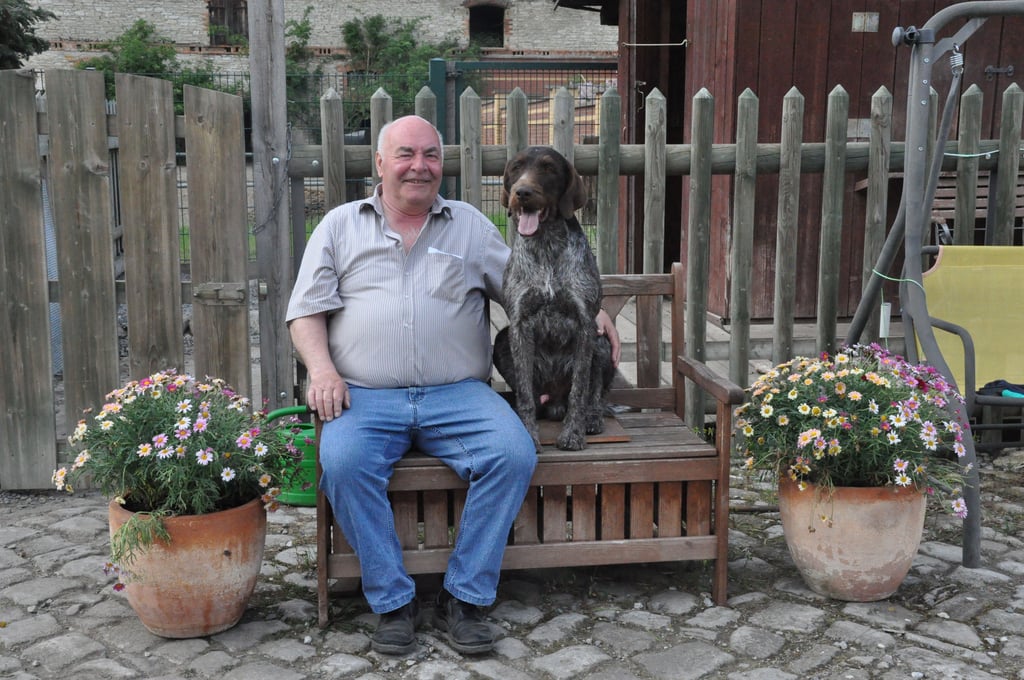 Johann Hauser ist tot: FDP-Landtagsabgeordneter aus Sachsen-Anhalt mit 70 Jahren gestorben