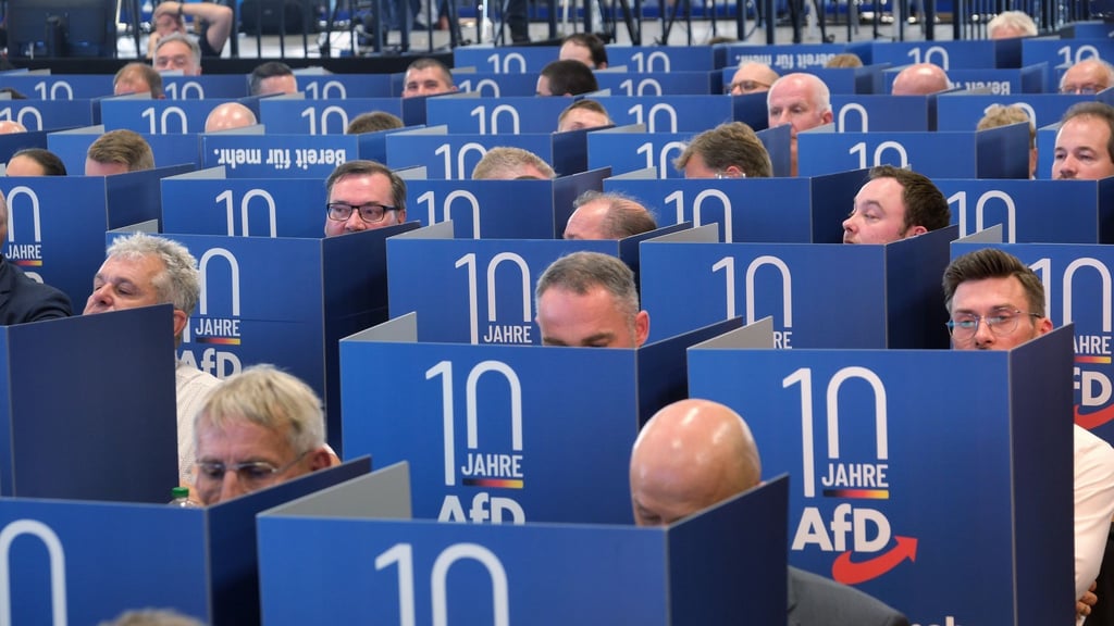 Europawahl: AfD-Kandidaten: Für „Dexit“ und gegen „Multikulti“