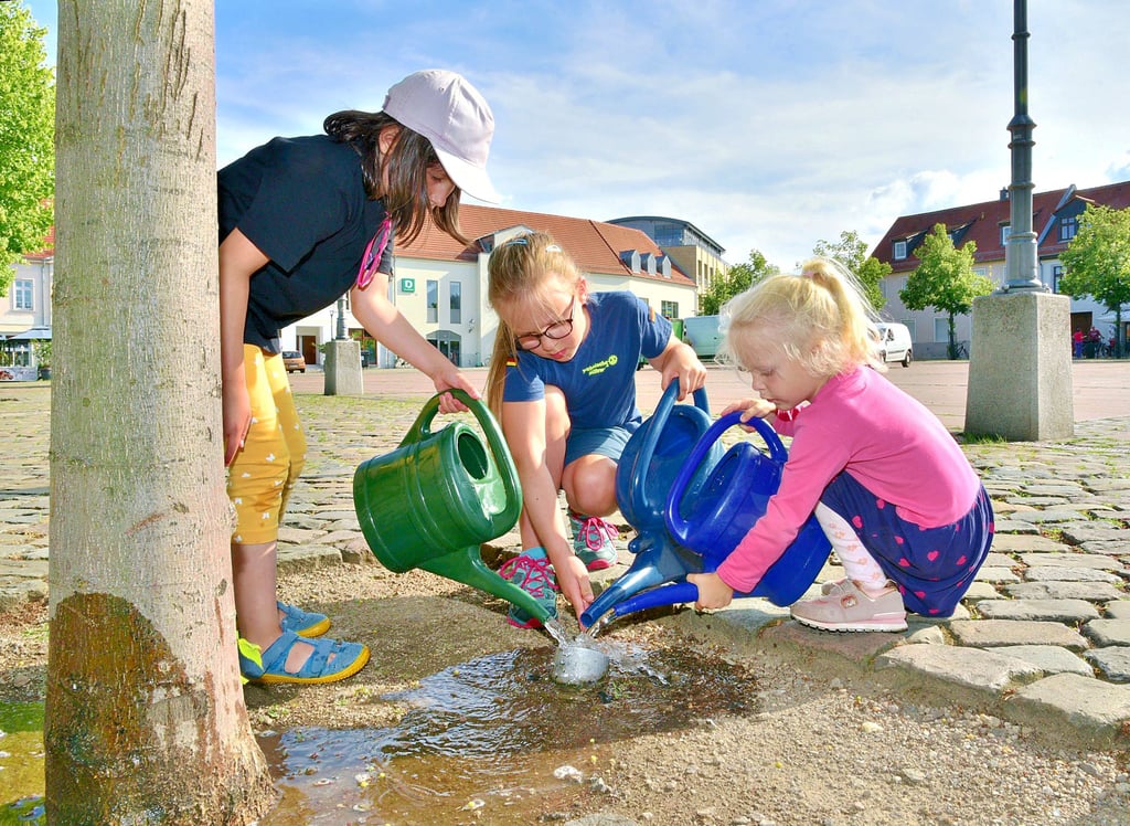 Kinder retten Bäume auf dem Karlsplatz in Bernburg: Zusammenarbeit ...