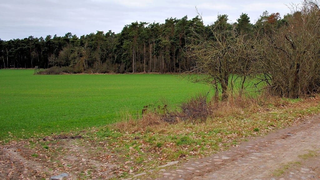 Solarpark: Umweltamt in Stendal lehnt Solarpark im Altmark-Dorf ...