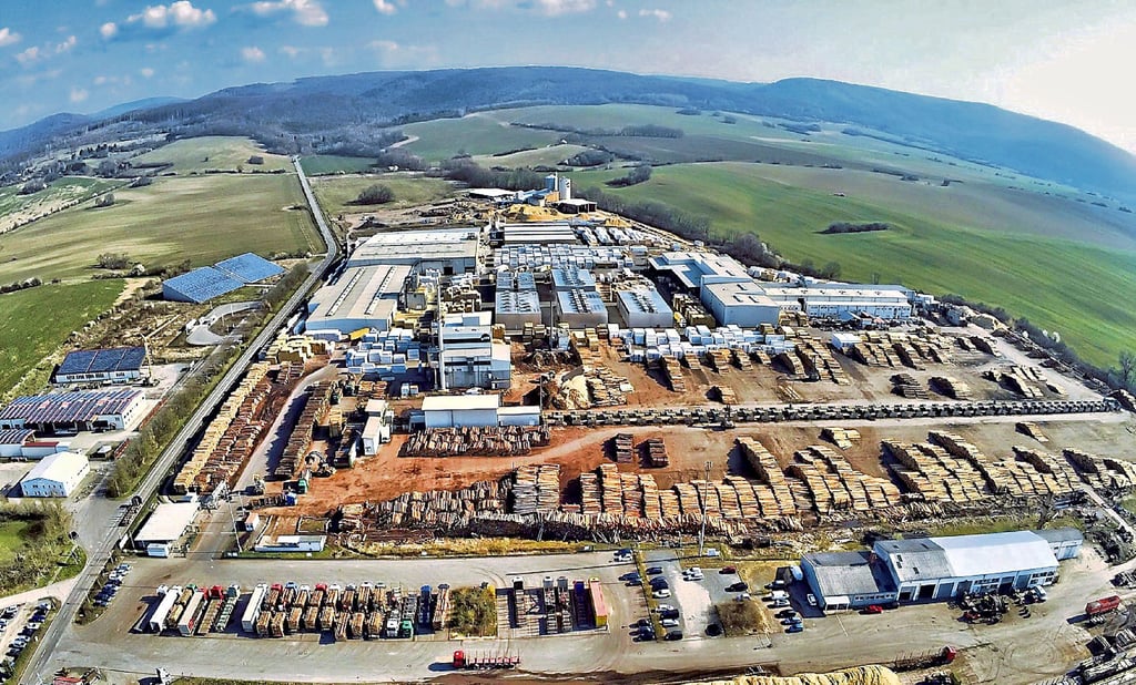 Anwohner von Ante-Holz im Südharz verärgert: Holzarbeiten in der Nacht ...