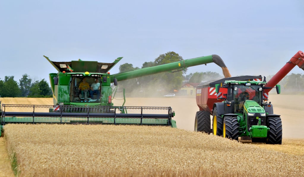 Landwirtschaft: Warum es bei der Ernte in Wanzleben und Oschersleben zu ...