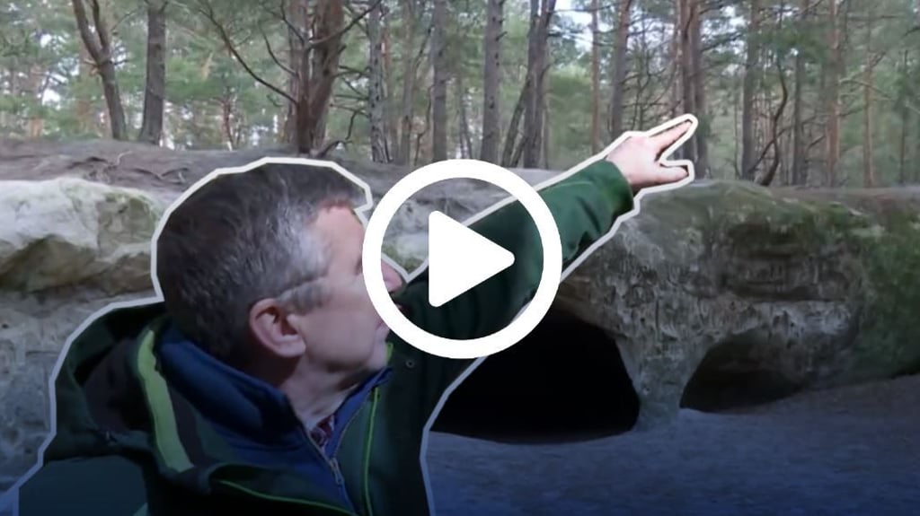 Mit Video: "Wolfsmensch" im Harz - Neues Foto - Aufnahme zeigt ...