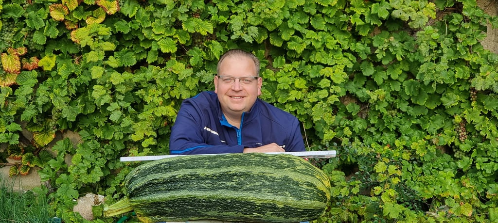 Riesengemüsewiegemeisterschaft in Klaistow: Riesenzucchini aus Annaburg ...
