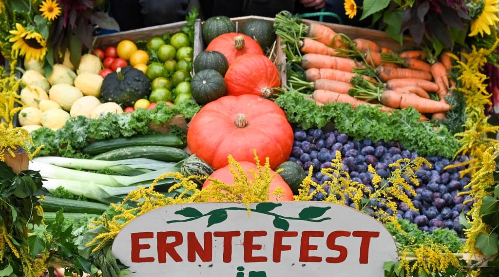 Agrar: „Regional, jetzt erst recht“: 20.000 Besucher beim Erntefest