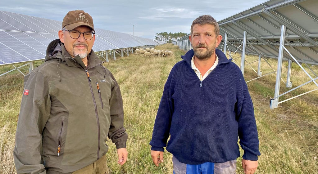 Vierte Wolfs-Attacke: Schock für Elsteraner Schäfer: Wölfe reißen bei ...