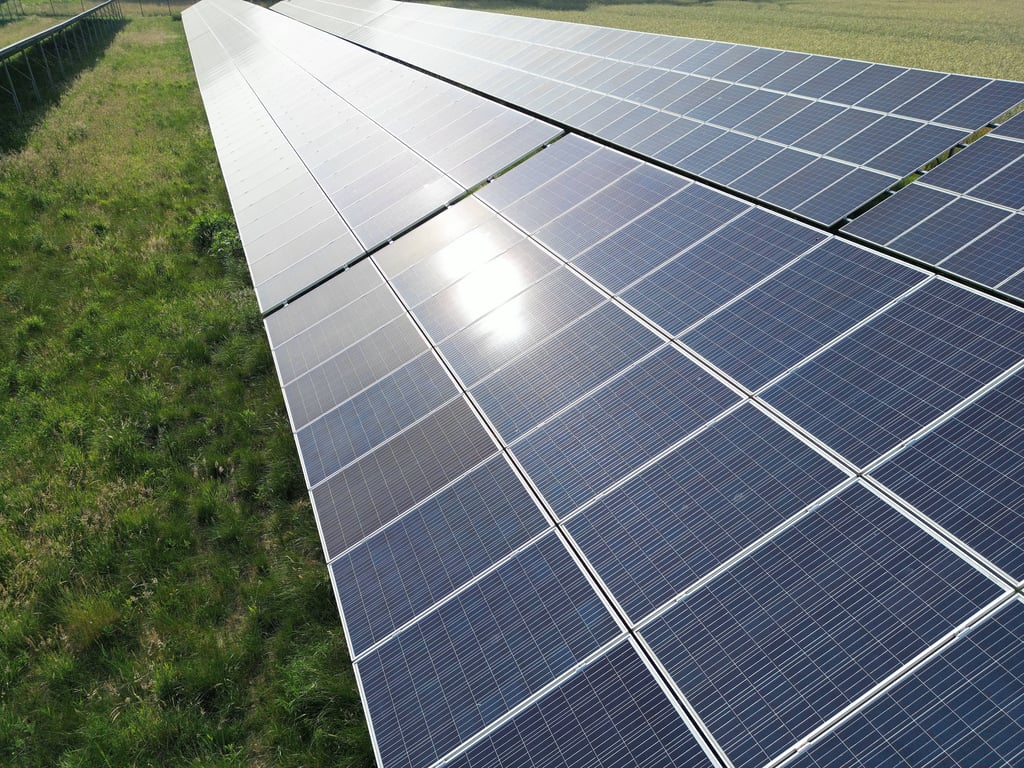 Erneuerbare Energien: Solarpark bei Haldensleben: Streit um Solarstrom ...