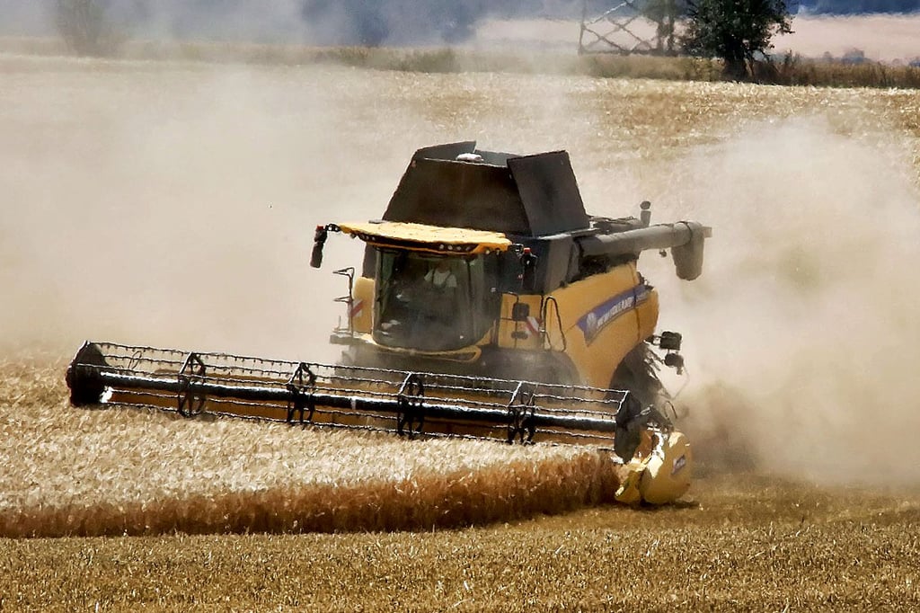 Ernte in Mansfeld-Südharz: Getreide, Mais und Co. - Wo der Regen für ...