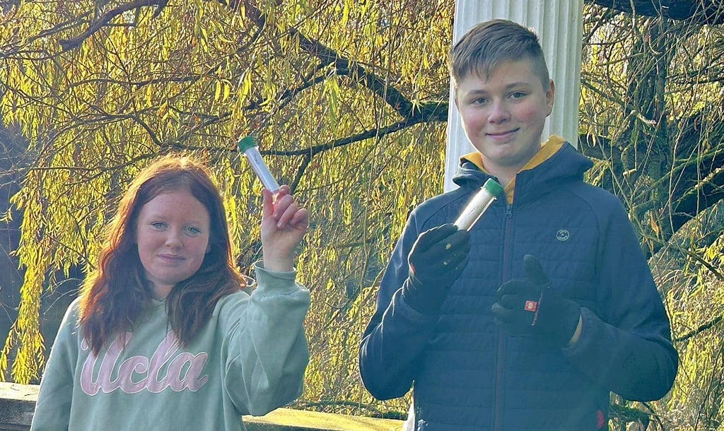 Schnitzeljagd im Stadtpark: DRK-Jugend lädt zum Mitmachen ein: Erste-Hilfe-Challenge in Tangerhütte