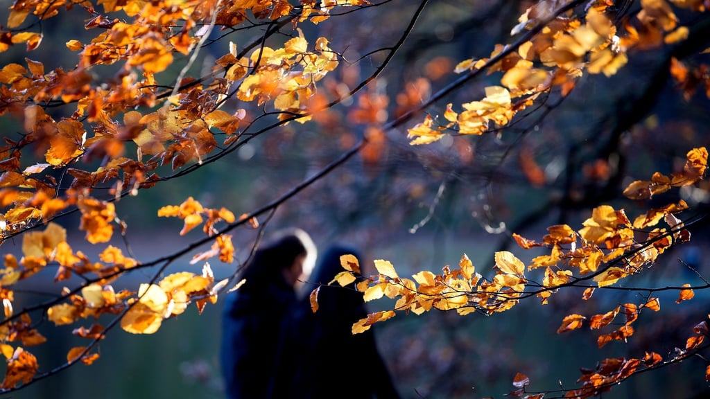 Wetter: Wetterdienst: Herbst 2023 zweitwärmster in Thüringen Wetter: Wetterdienst: Herbst 2023 zweitwärmster in Thüringen
