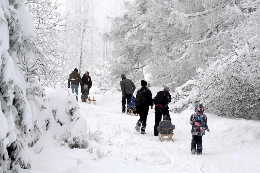 Rodeln im Harz: Die schönsten Rodel-Pisten für einen Winter-Ausflug