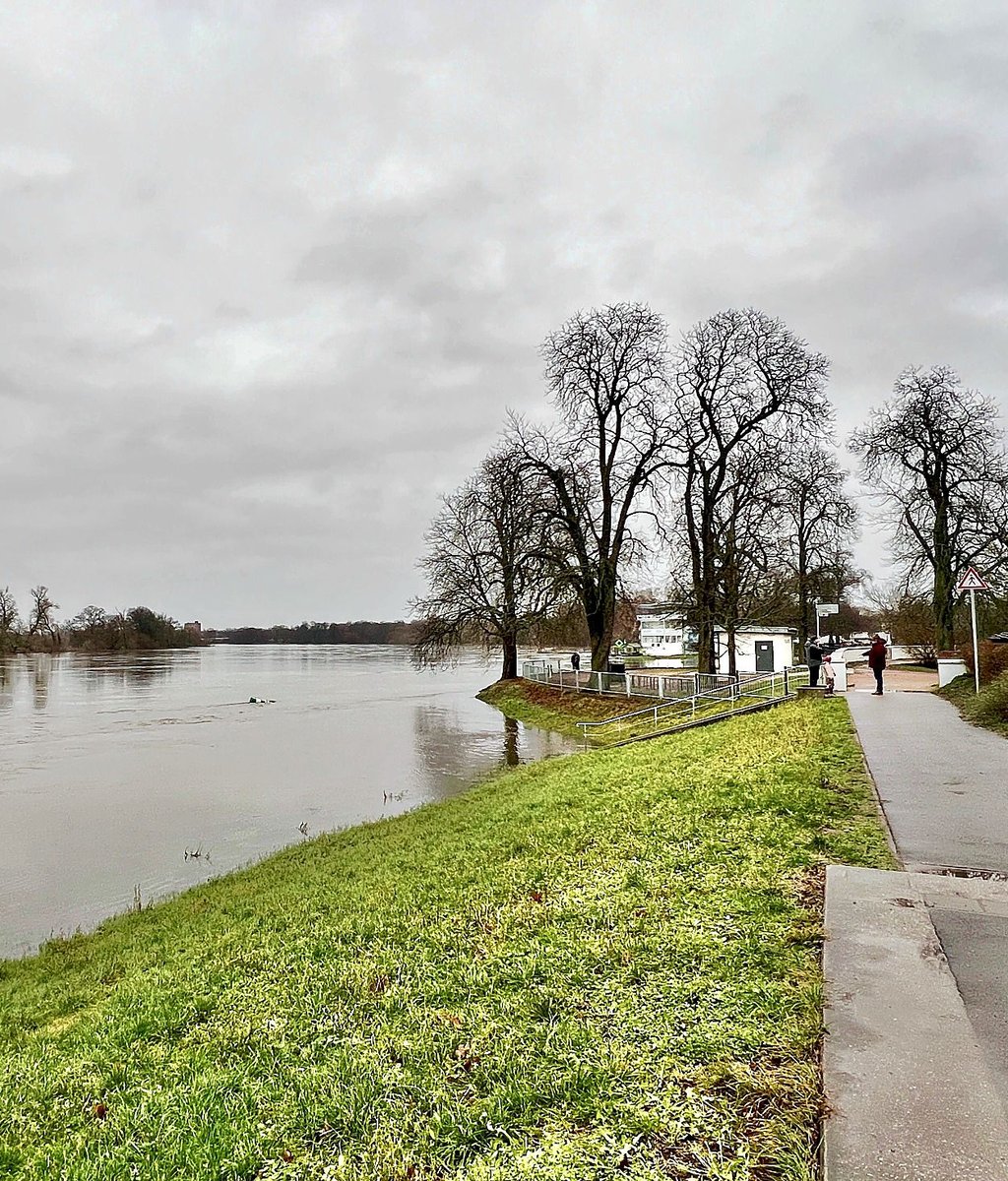 Hochwasser an Elbe und Mulde bei Dessau-Roßlau: Die Elbaue als Schwamm ...