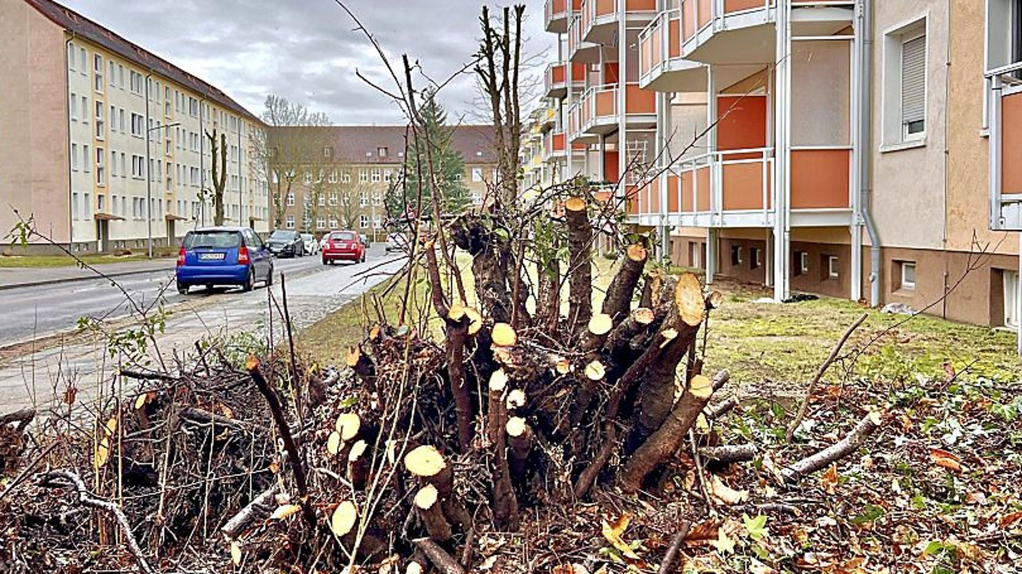 Anwohner verärgert: „Warum musste unser schönes Lebensumfeld weg ...