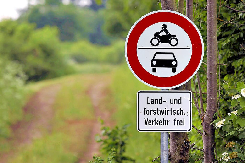 Neues Waldgesetz: Von Beyme warnt vor Waldgesetz: „Das ist Enteignung ...