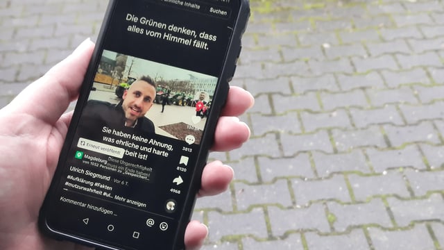 AfD dominiert TikTok: Wahlkampf der Parteien aus Sachsen-Anhalt auf ...