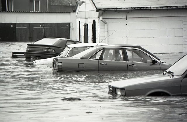 Dramatische Flut vor 30 Jahren: Jahrhunderthochwasser an Selke, Wipper ...