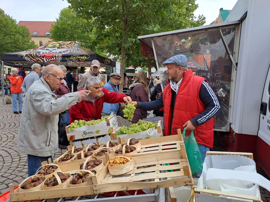 „Frühlingserwachen“: Vielfalt aus der Region - Bitterfeld belebt mit ...