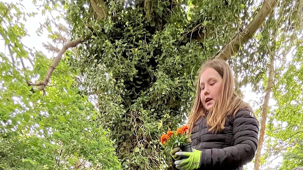Schüler pflegen Gedenkstätte: Blumen für zwei Brettiner Malerinnen
