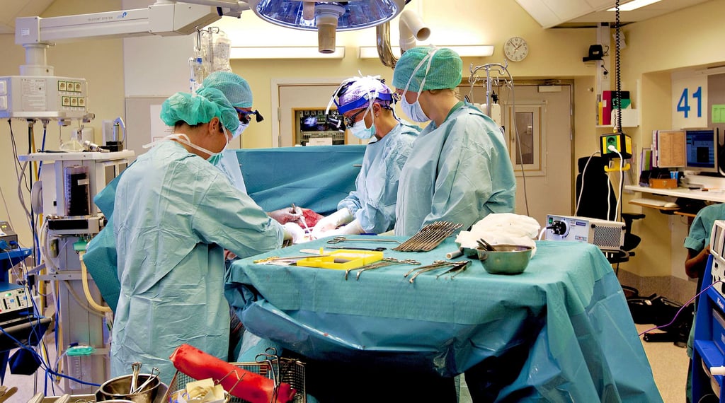 Organspendeausweis: Organentnahme für Transplantation im Salzwedeler Altmark-Klinikum