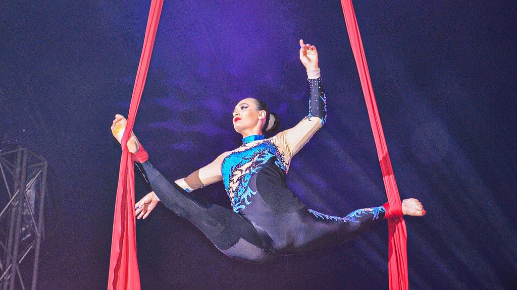 Freizeittipp fürs Wochenende: Von Romantik bis Adrenalin pur: Circus ...