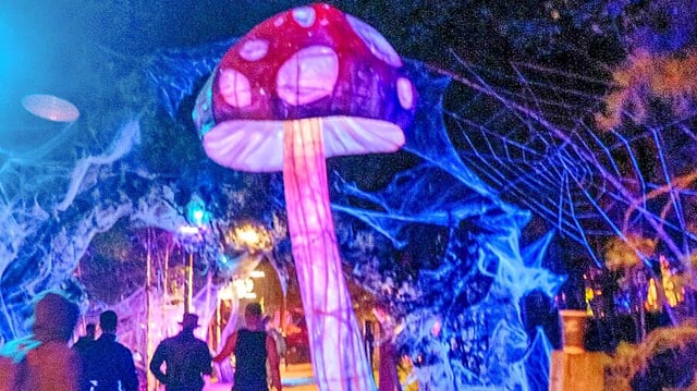 Ferropolis: Das Hive-Festival in Bildern