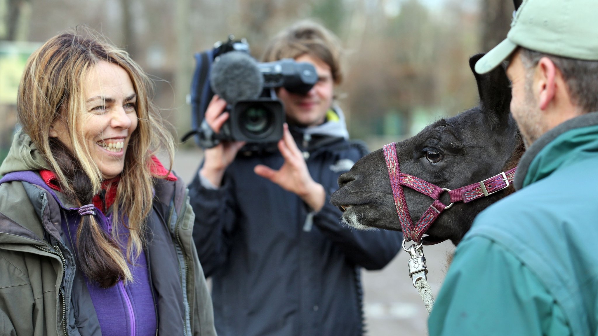 "Elefant, Tiger & Co" - Alles rund um die beliebte Doku-Soap über den ...
