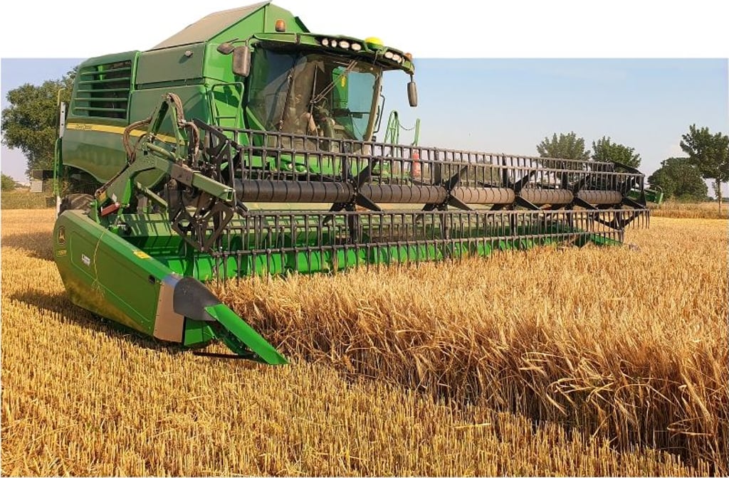 Landwirtschaft: Bauern rund um Salzwedel mit Start der Ernte zufrieden ...