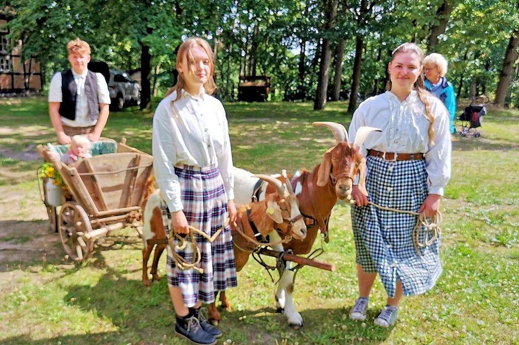 Kinder lernen mehr beim Aktionstag: Im Freilichtmuseum Diesdorf sind ...