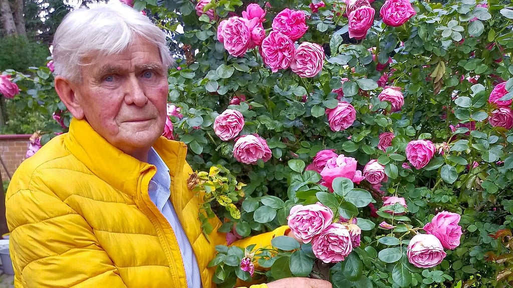 Ortsbürgermeister der Stadt Seehausen wird demnächst neu gewählt ...