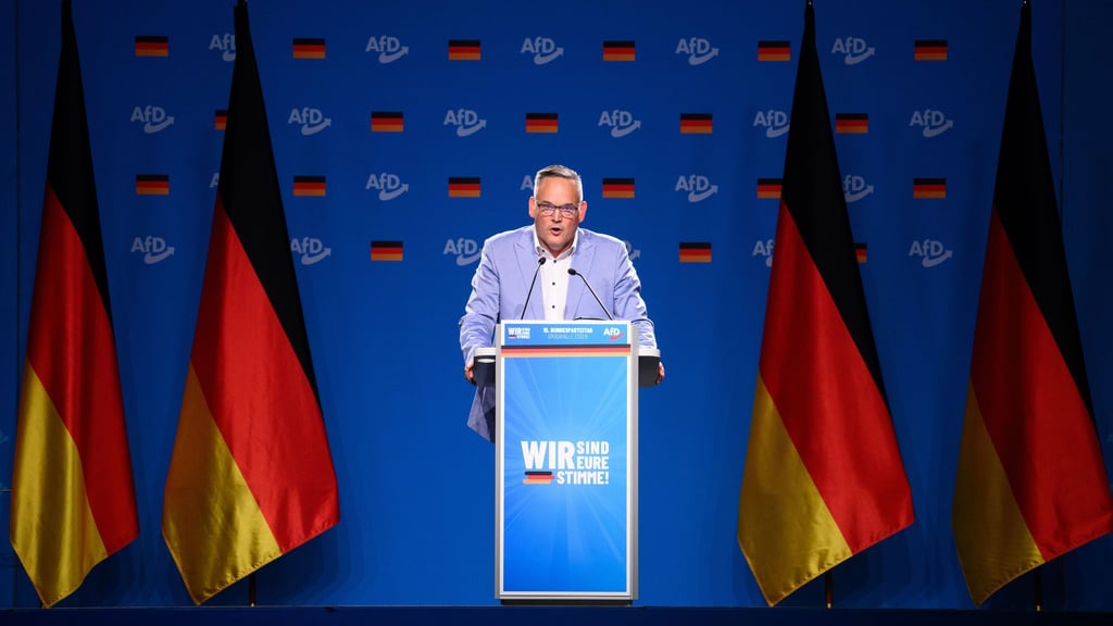 Landesparteitag: AfD-Mitglieder wählen neuen Landesvorstand