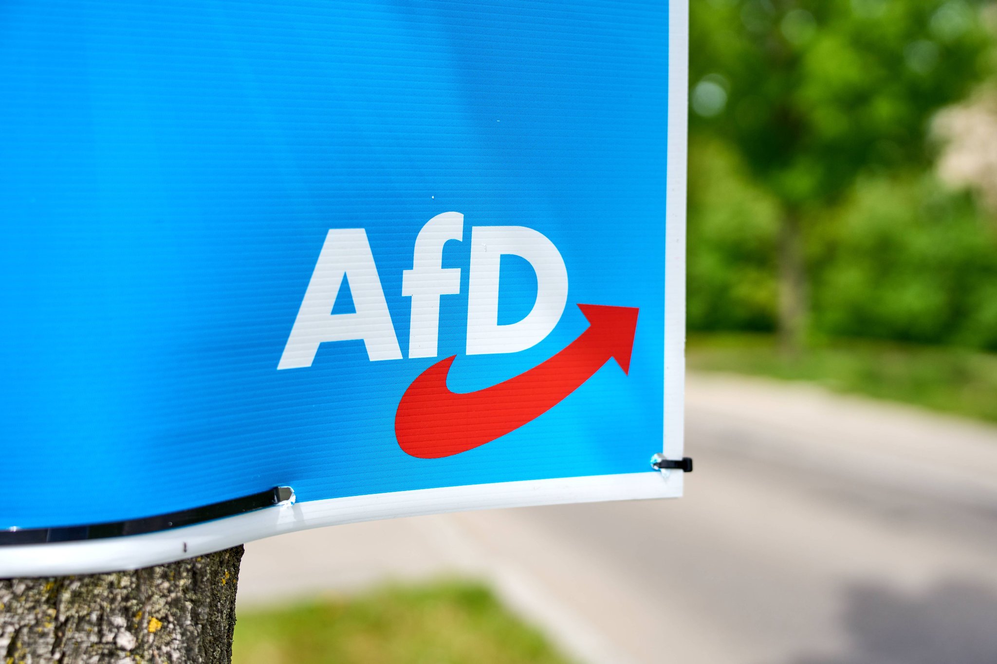 Insolvenzverfahren: AfD-Bundestagskandidat Rau aus Sachsen-Anhalt ist ...