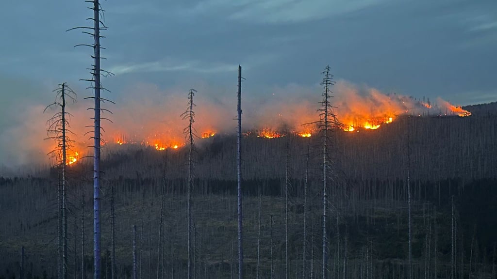 Waldbrand am Brocken: Wichtige Zeugen geben neue Hinweise