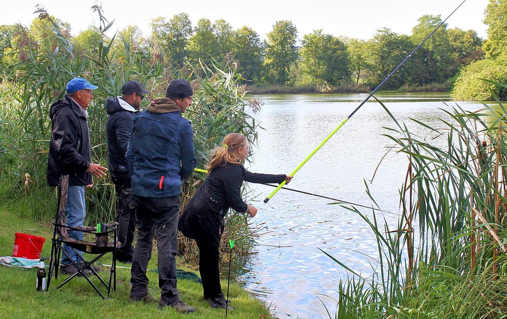Angeln: Petrijünger aus der Region gehen auf Plötzen und Rotfedern