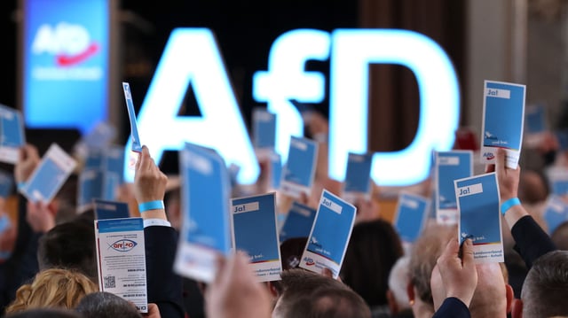AfD: Porno-Aussage hat Konsequenzen für AfD-Politiker Rau
