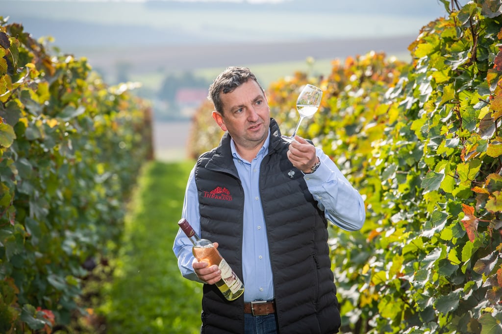 Serie zu Weinmachern an Saale-Unstrut: Winzer Mario Thürkind: „Die ...