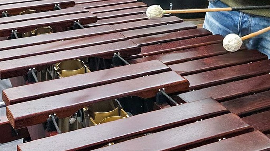 Ausgehtipp für den 14. &15.11.2024: Konzert in Magdeburg: Musik mit ...