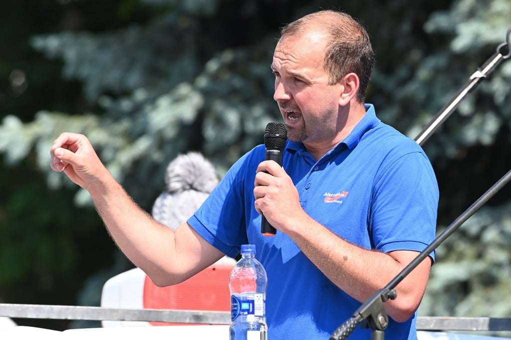 Affäre um Abitur-Fälscher: AfD-Vorstandskritiker Daniel Roi soll aus ...