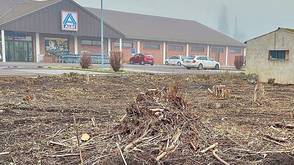 Neubau in Könnern: Moderner Aldi mit E-Ladestation kommt