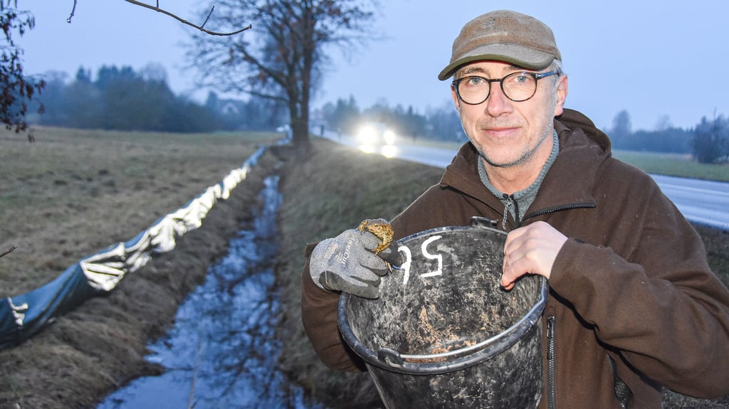 Naturschutz im Landkreis Börde: Gefahr für Autofahrer: Achtung, Kröten ...