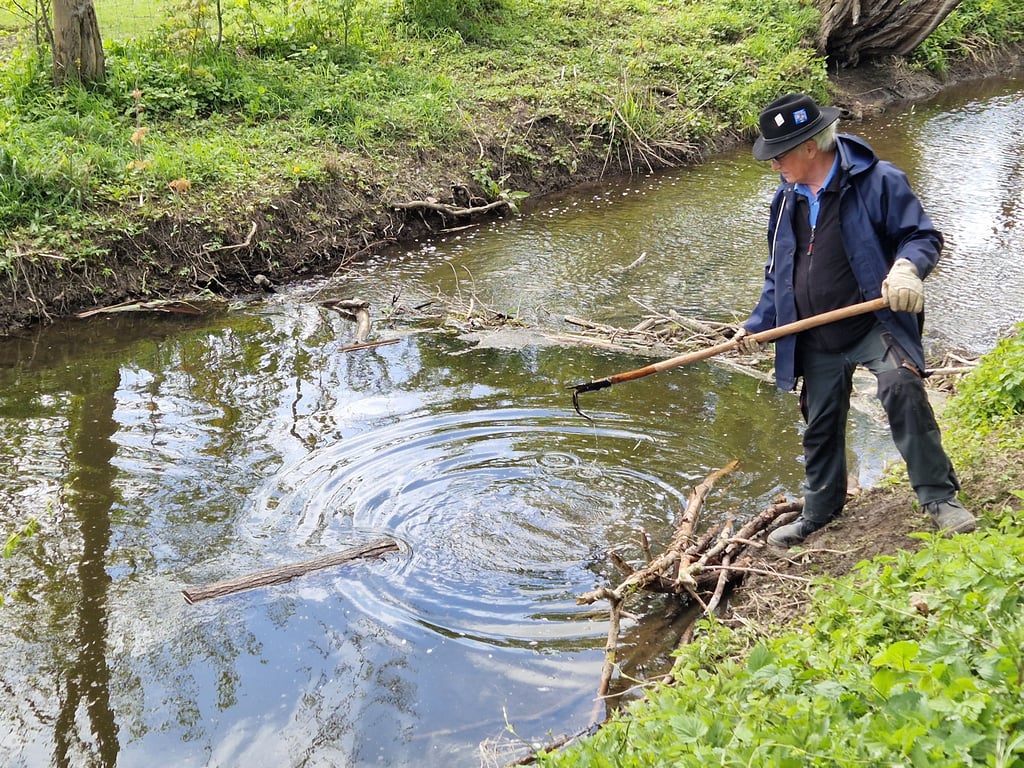 Technisches Denkmal und Ökosystem in Gefahr: Klagt der Floßgraben ...