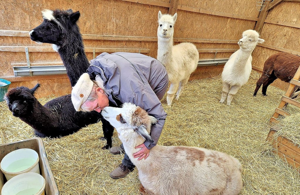 Faszinierende Tiere locken Besucher an: Neustart auf dem Ihleburger ...