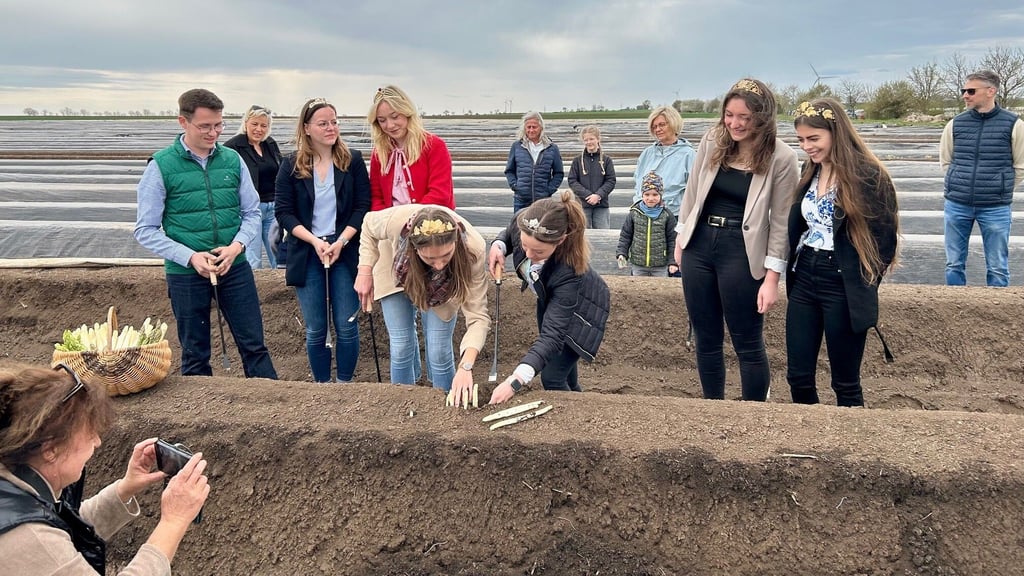 Start für Spargelernte im Saalekreis: Langeneichstädt: Sechs gekrönte ...