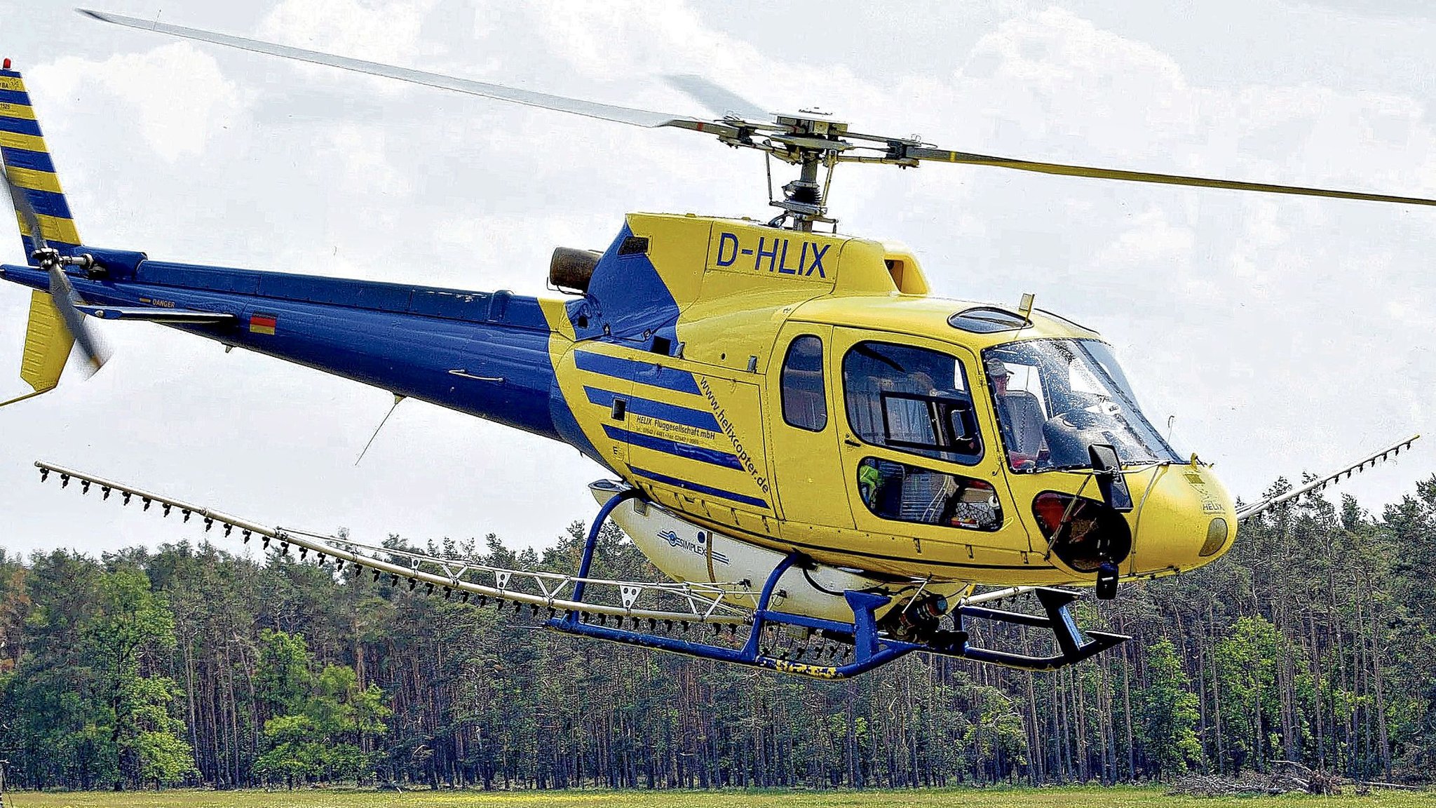 Gefährlich für den Menschen: Mit dem Helikopter gegen die Raupen - Bitterfeld-Wolfen bekämpft ...